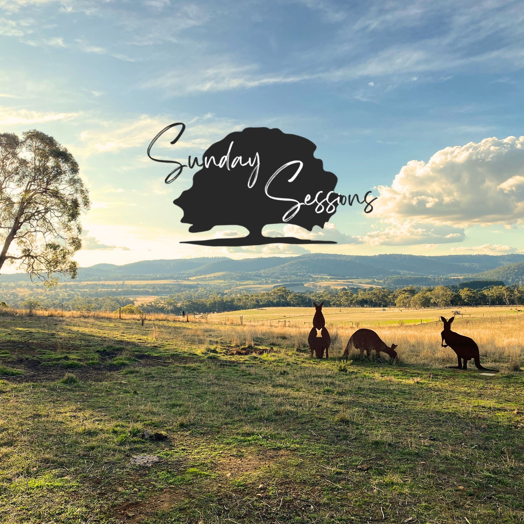 Big Tree Distillery – BigTreeDistillery